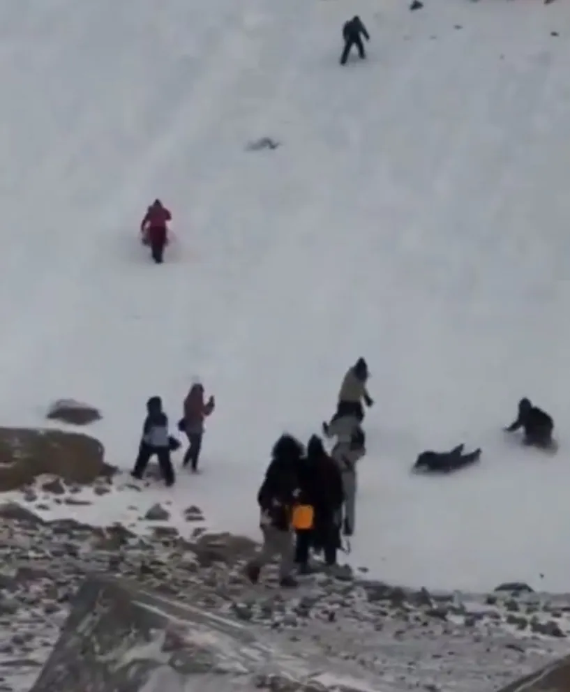 Preocupación por el uso de culipatín en el cerro Catedral: una práctica ...